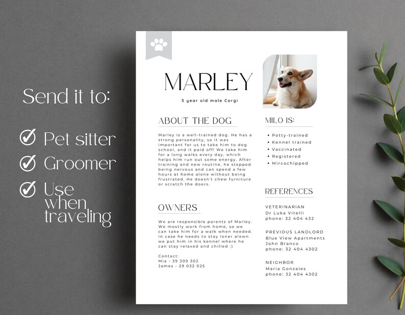 Editable Dog Resume, Pet Bio Cv, Renting Dog Profile, Foster Cat Bio ...