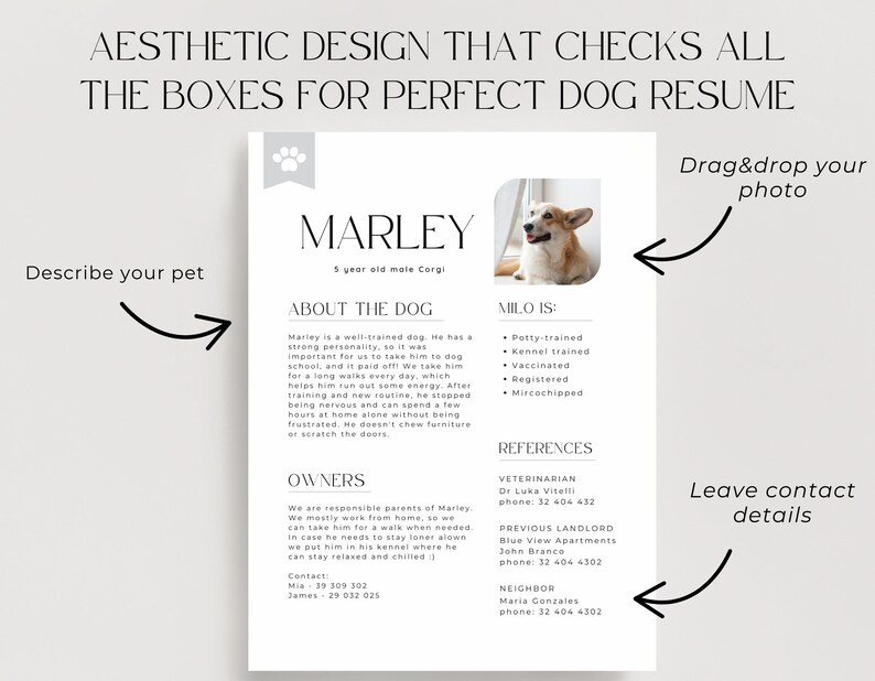 Editable Dog Resume, Pet Bio Cv, Renting Dog Profile, Foster Cat Bio ...