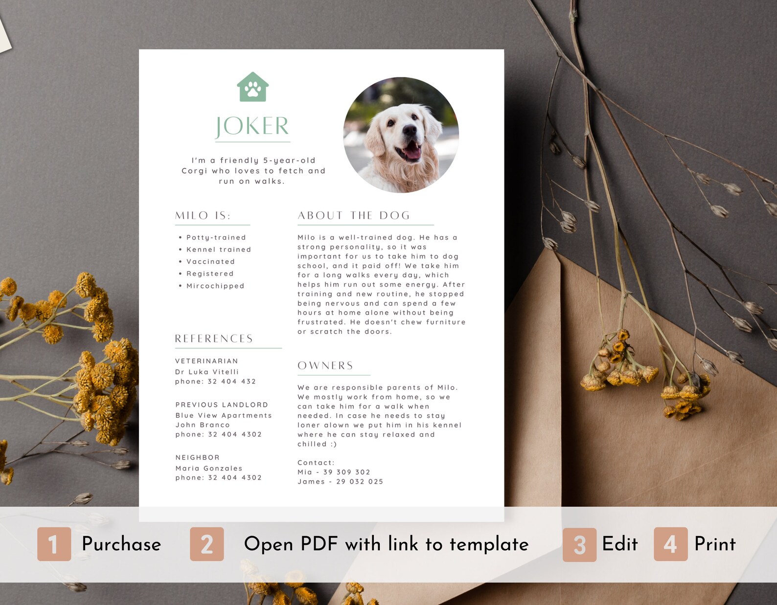 Dog Cv Editable Template, Pet Resume for Rental Aplication, Renting ...