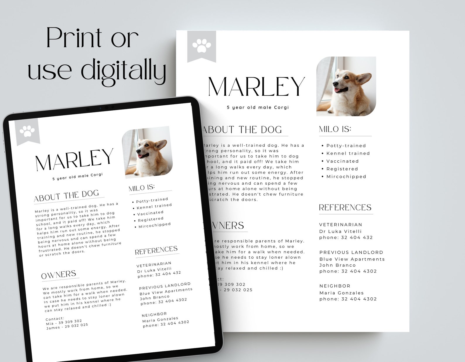 Editable Dog Resume, Pet Bio Cv, Renting Dog Profile, Foster Cat Bio ...