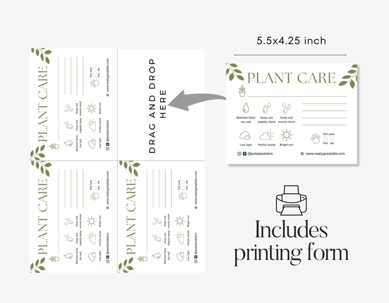 Plant Care Guide Card Template: Succulents, Herbs (canva Editable) - Etsy
