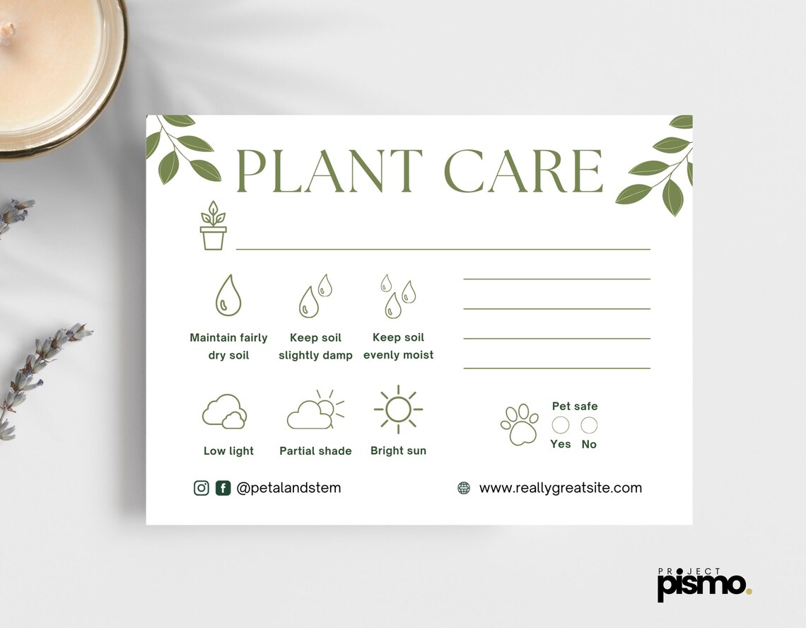 Plant Care Guide Card Template: Succulents, Herbs (canva Editable) - Etsy