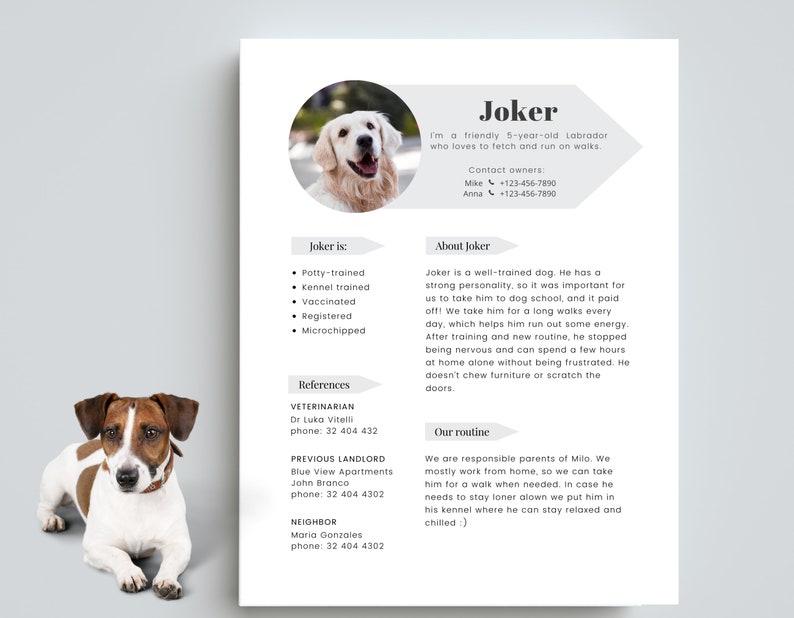 Pet Bio Resume, Renting Dog Profile, Foster Cat Bio, About My Pet ...
