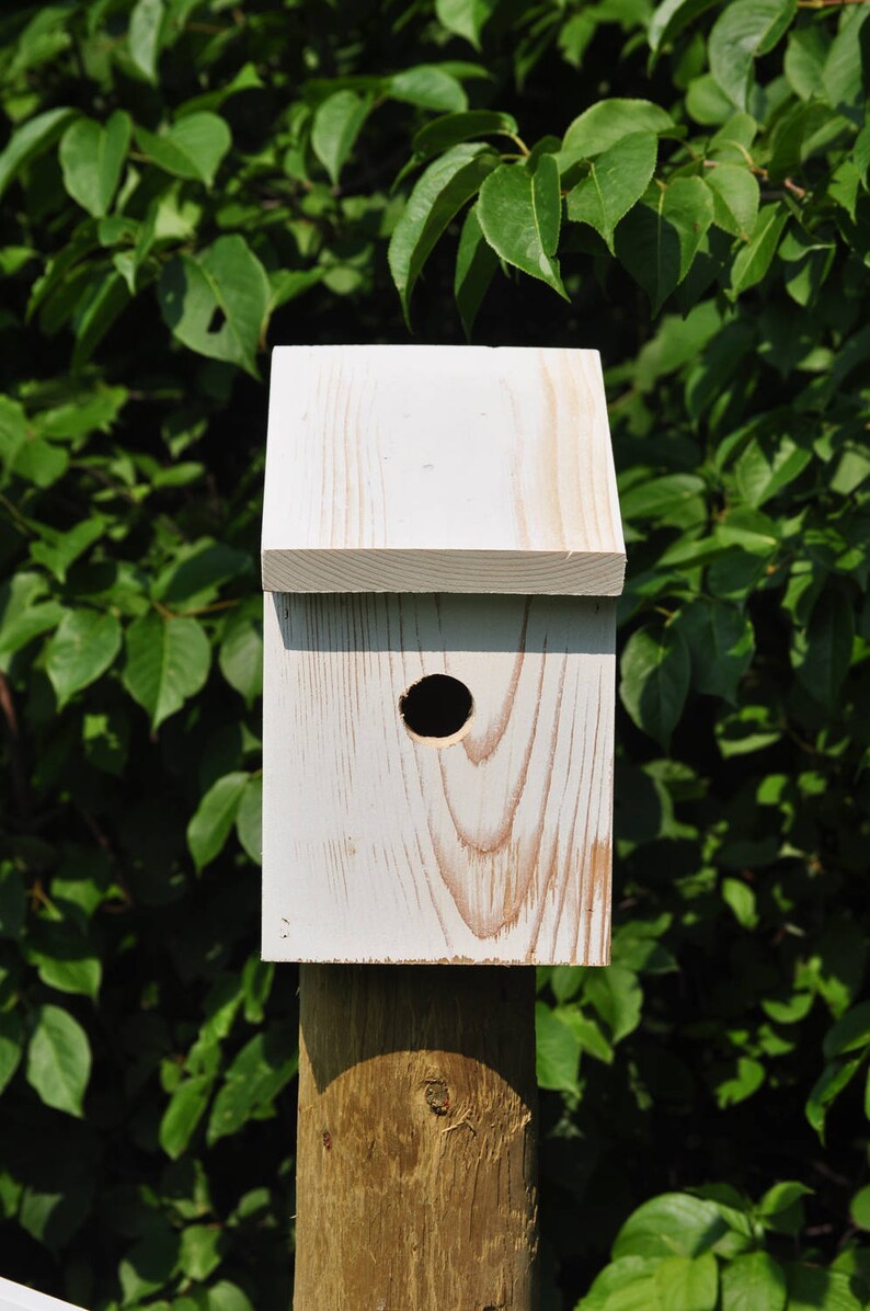 Little White Birdhouse or Nesting Box With Removable Top | Etsy