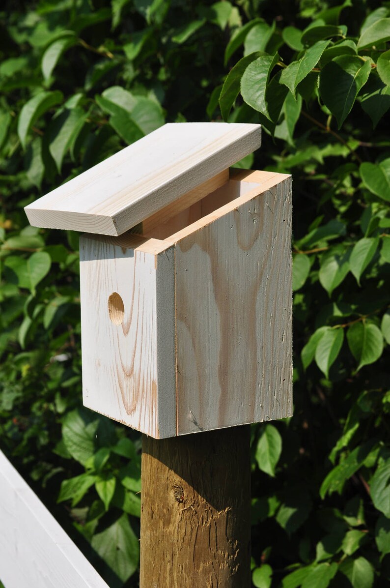 Little White Birdhouse or Nesting Box With Removable Top | Etsy