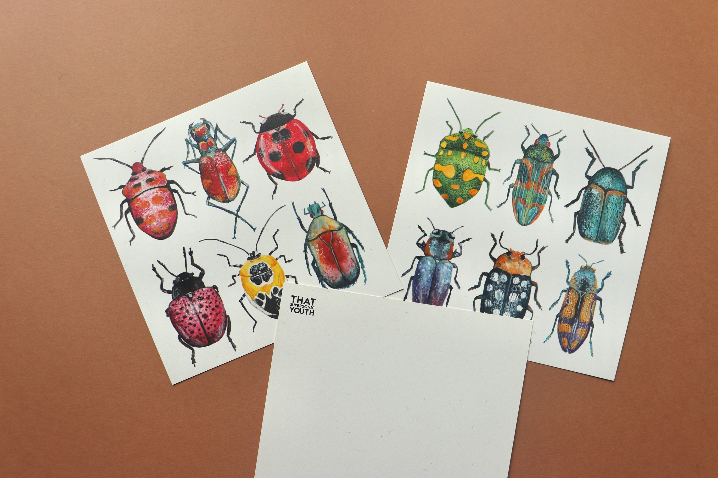 Linda postal de insectos para niños Juego de 3 Tarjeta de cumpleaños ...