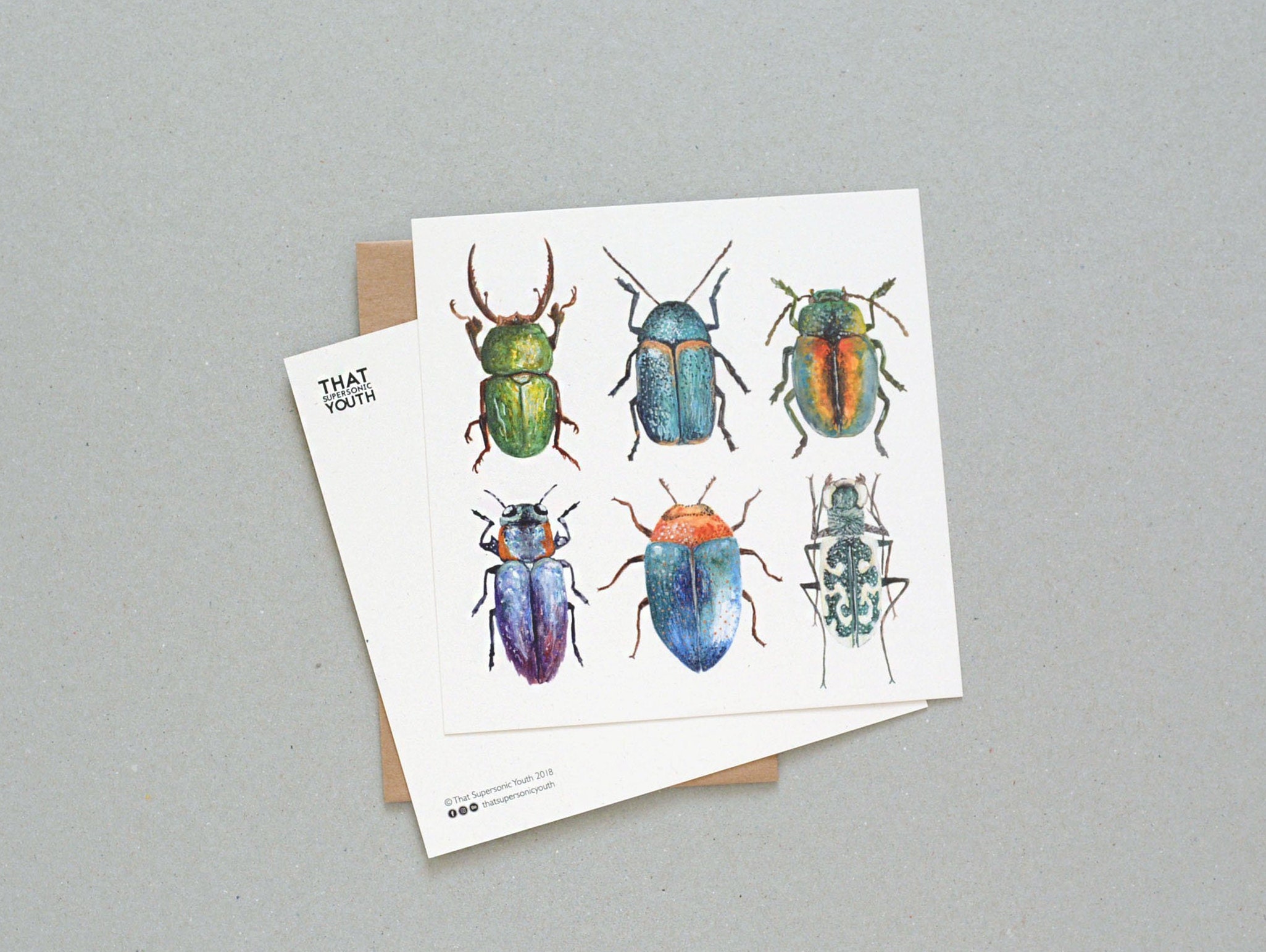 Linda postal de insectos para niños Juego de 3 Tarjeta de cumpleaños ...