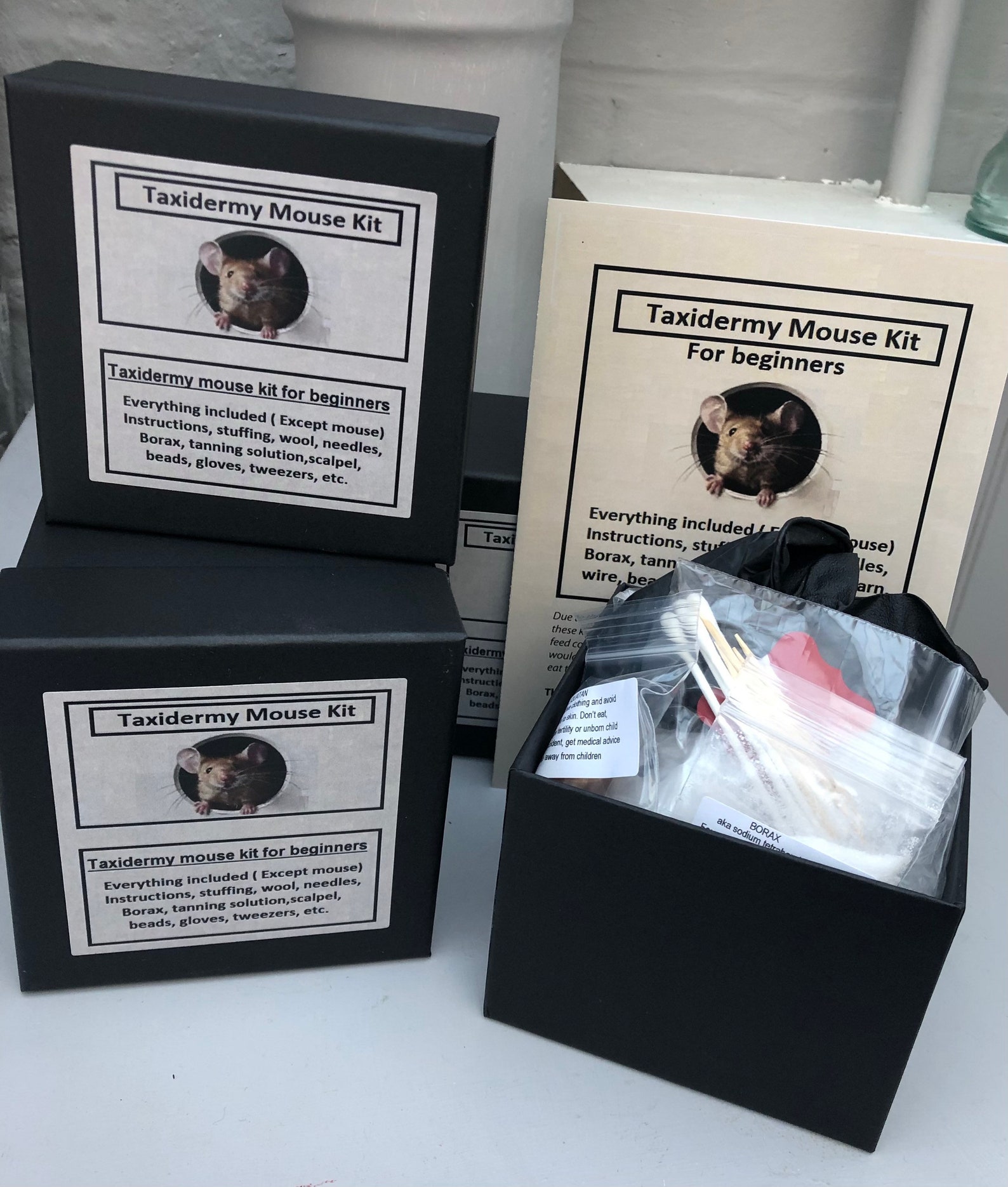 Taxidermy Mouse Kit for Beginners Great Present, for the Person Who Has ...