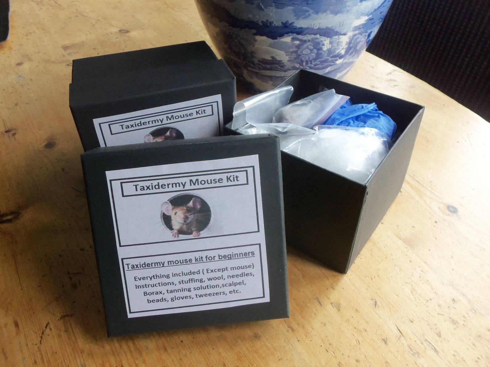 Taxidermy Mouse Kit for Beginners Great Present for the - Etsy UK