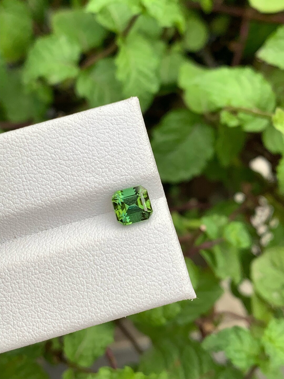 Natural Rich Blue Green Jaba Tourmaline Gemstone for Sale , Asshcer ...