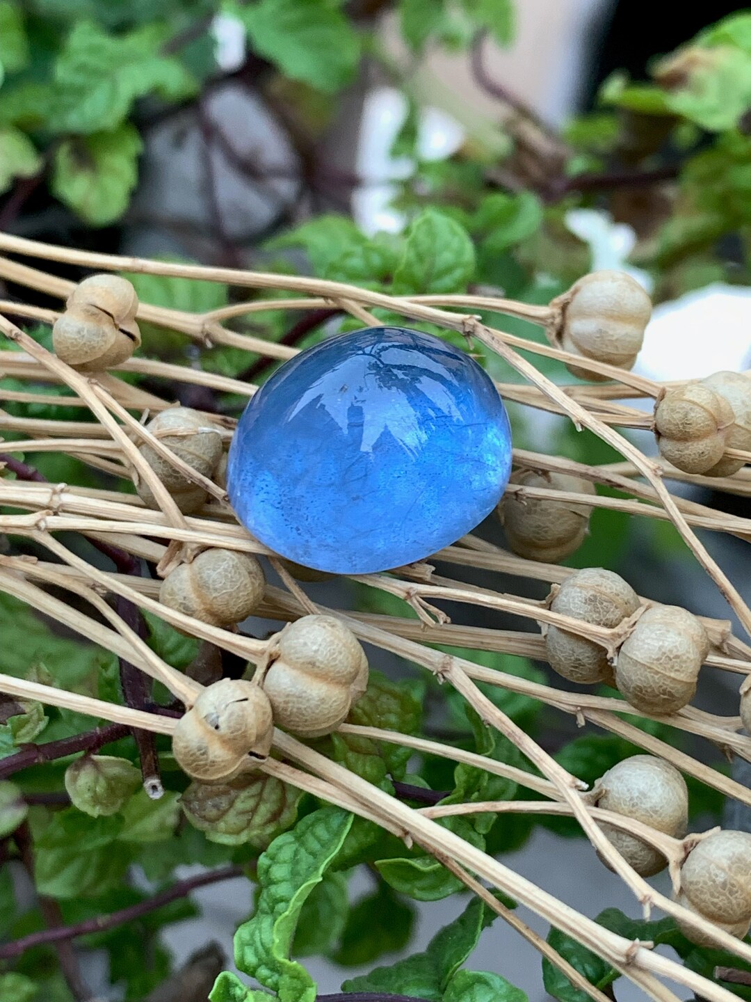 Cats Eye Aquamarine Cabochon, Santa Maria Blue Aquamarine Gem ...