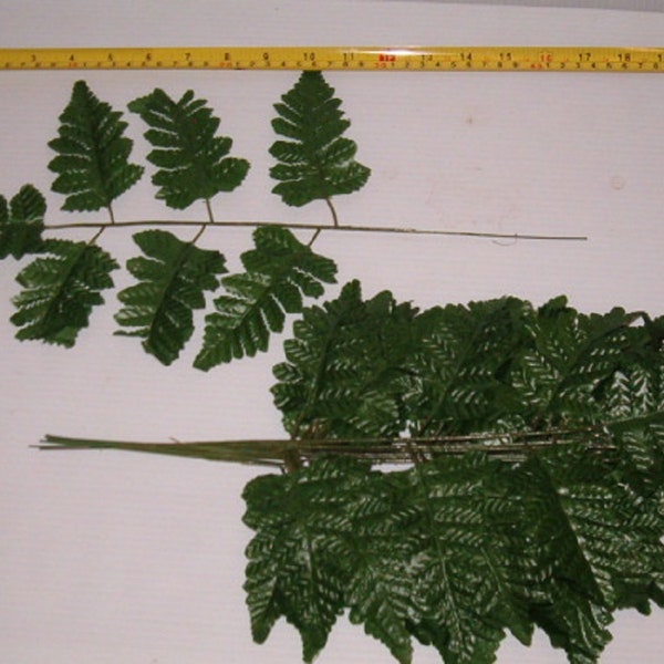 Leather Leaves - Etsy