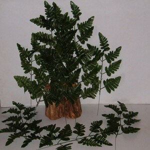 864 Stems of Silk Leather Leaf Fern for Flower Arranging, Crafts ...