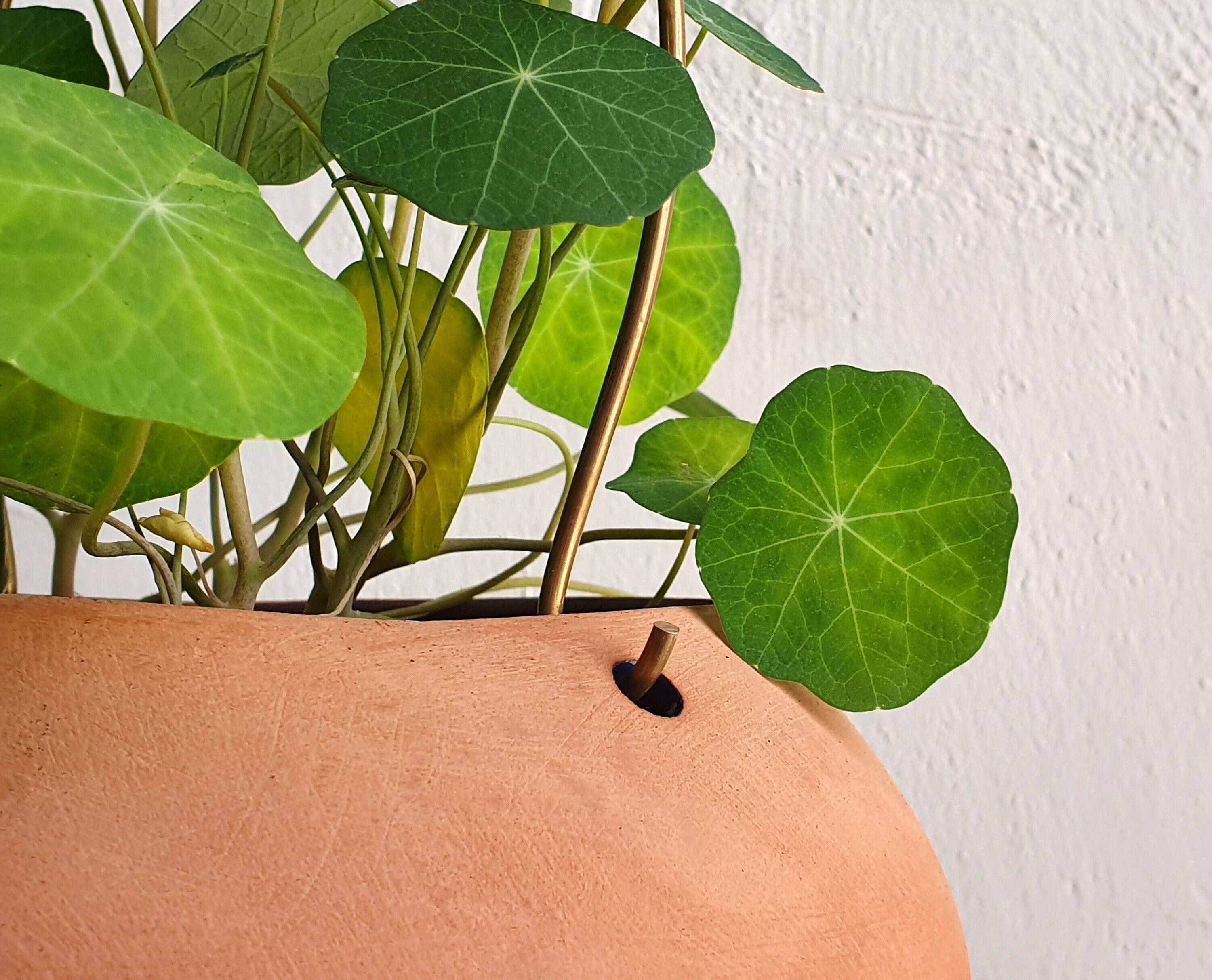 Terracotta Hanging Planter, Ceramic Plant Pot for Live House Plants ...