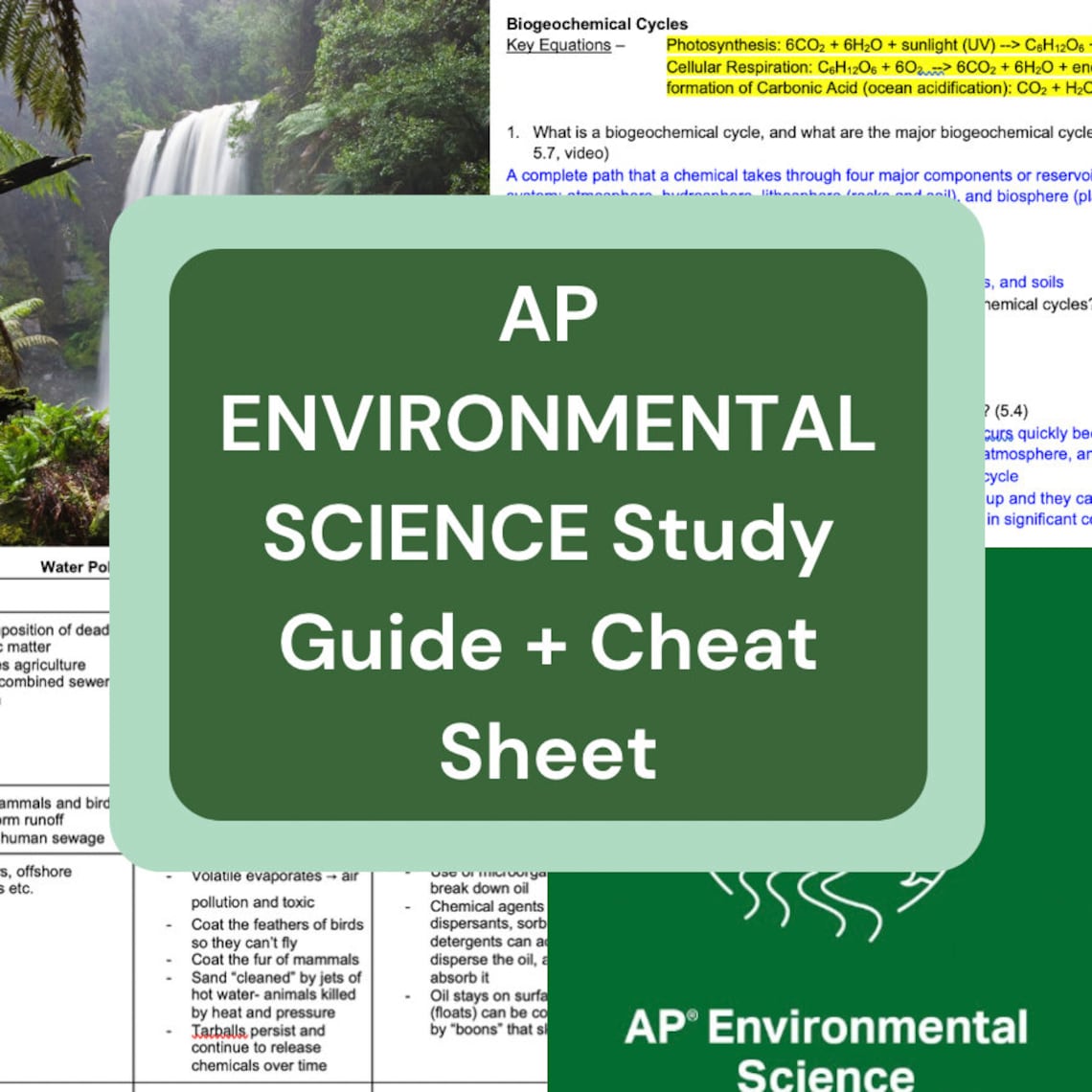 AP Environmental Science Notes Study Guide + Cheat Sheet - Etsy