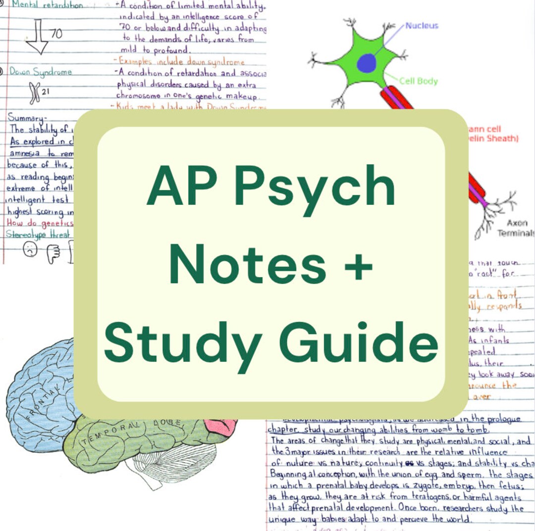 AP Psychology Comprehensive Notes/study Guide - Etsy