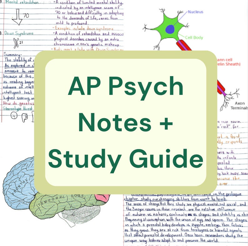 AP Psychology Comprehensive Notes/study Guide - Etsy