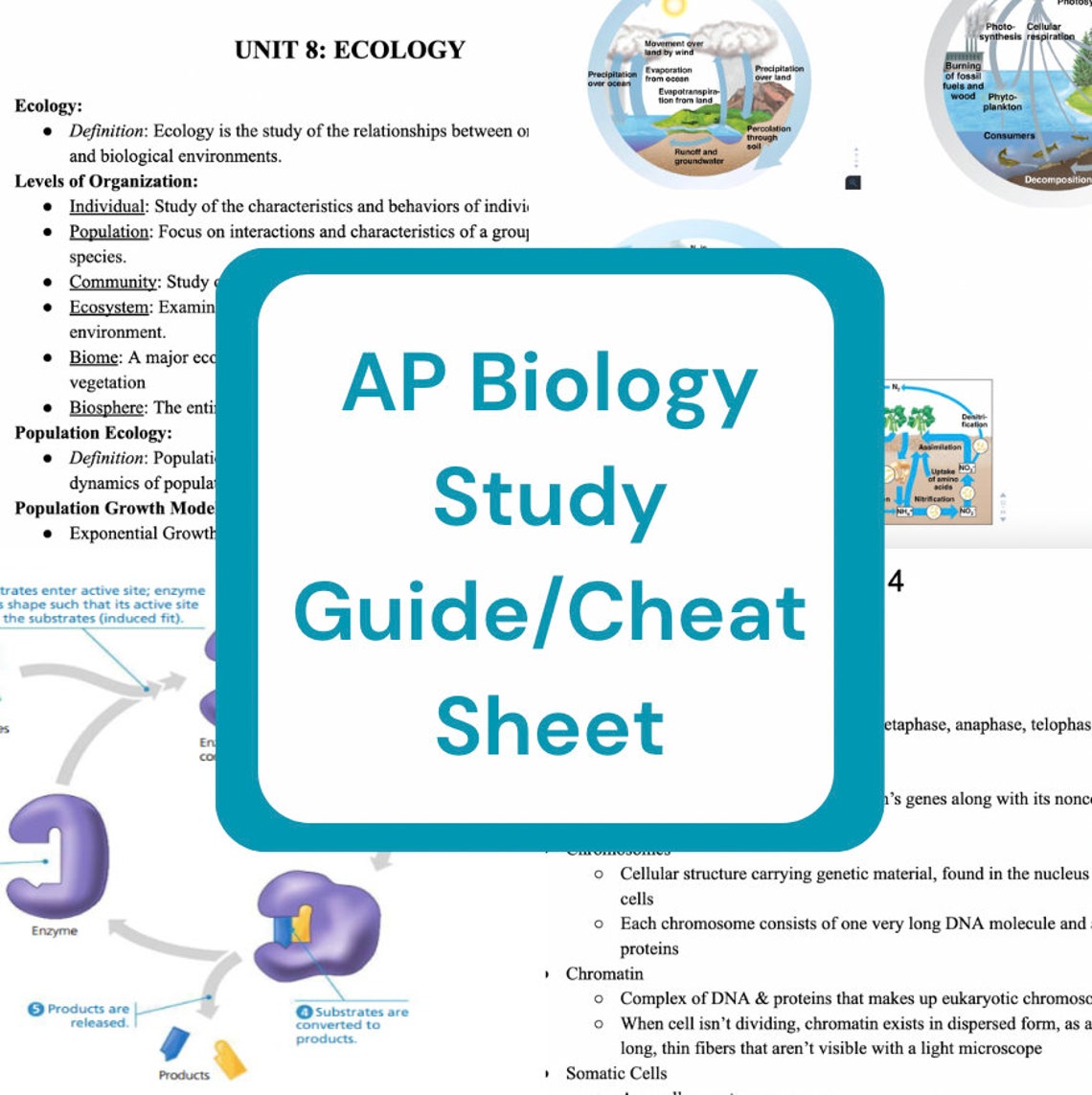 AP Biology Notes + Study Guide/cheat Sheet - Etsy