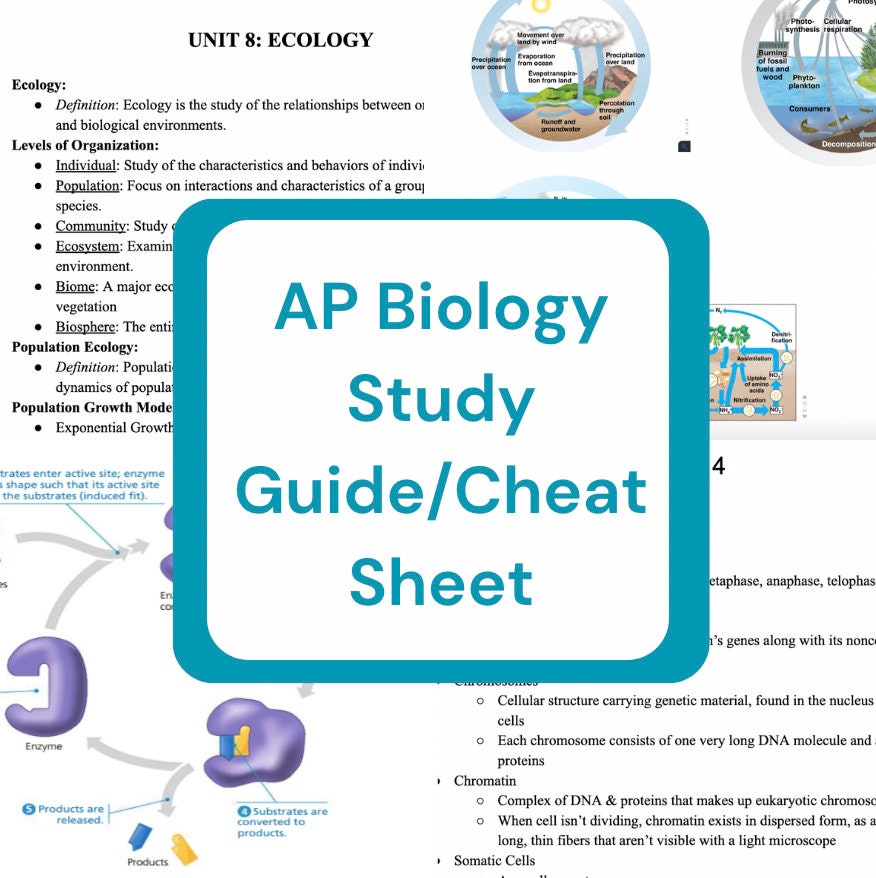AP Biology Notes + Study Guide/cheat Sheet - Etsy