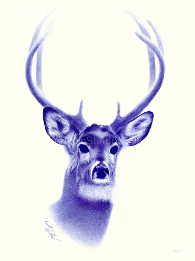 Blue Deer: Wall decor. Signed illustration giclée | Etsy