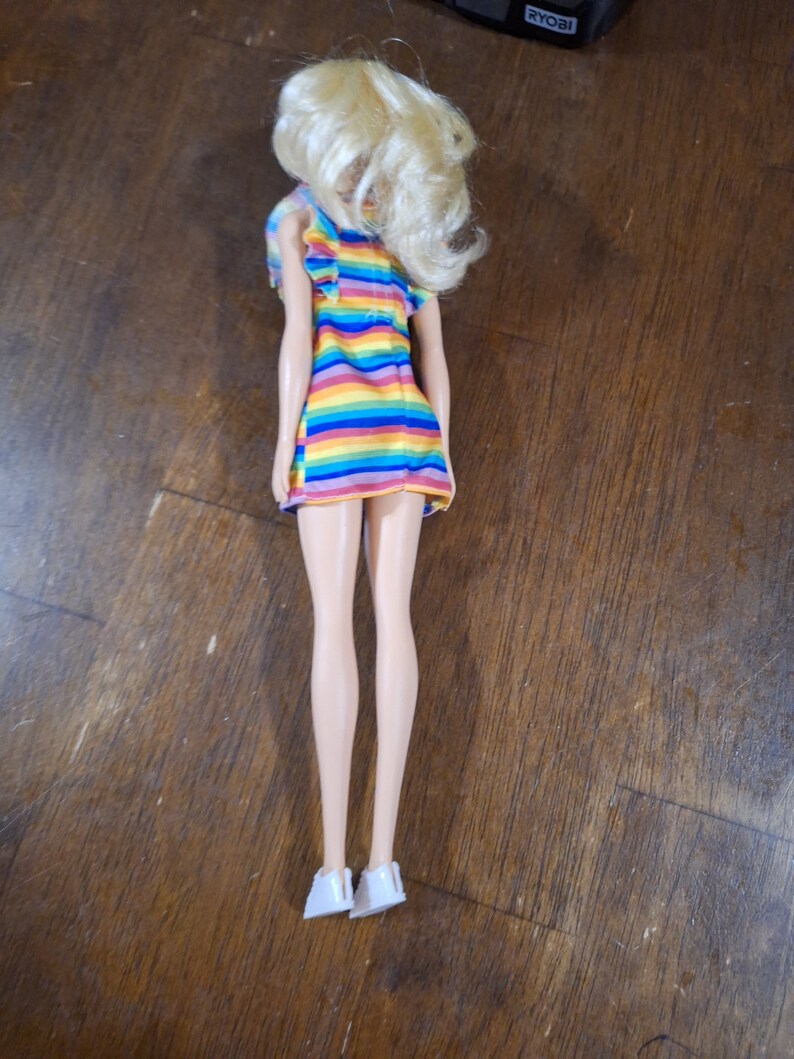 Barbie Fashionistas Doll Mattel 2022 With Braces and Rainbow - Etsy