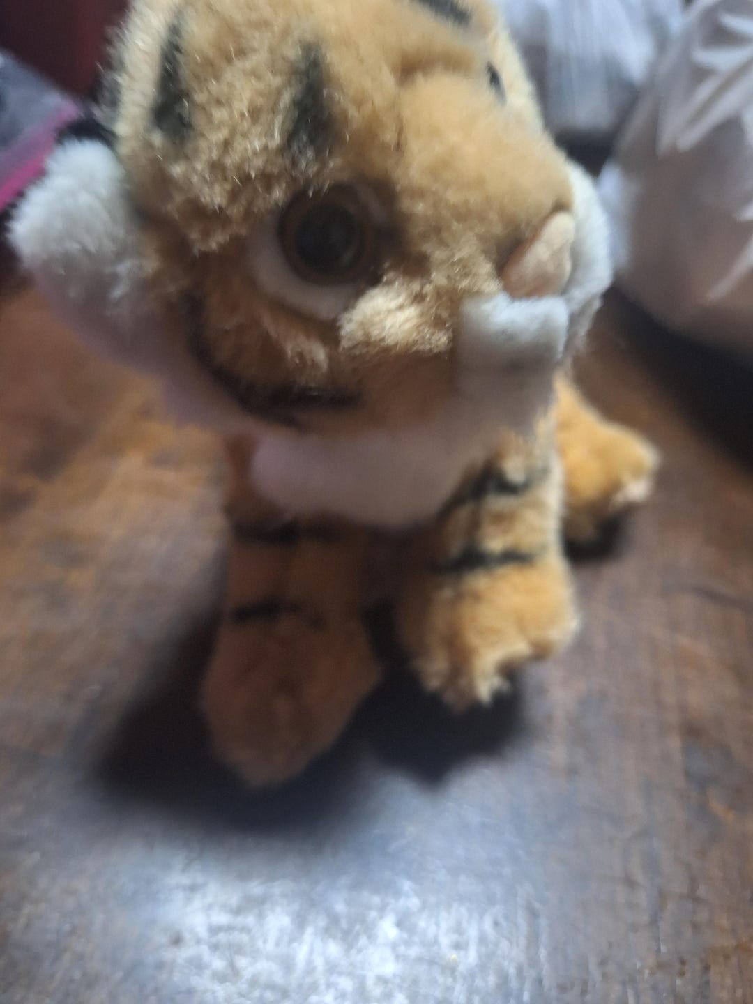 Baby Bengal Tiger Cub Soft Cuddly 10 Inch Plush Lovey Stuffed Animal ...