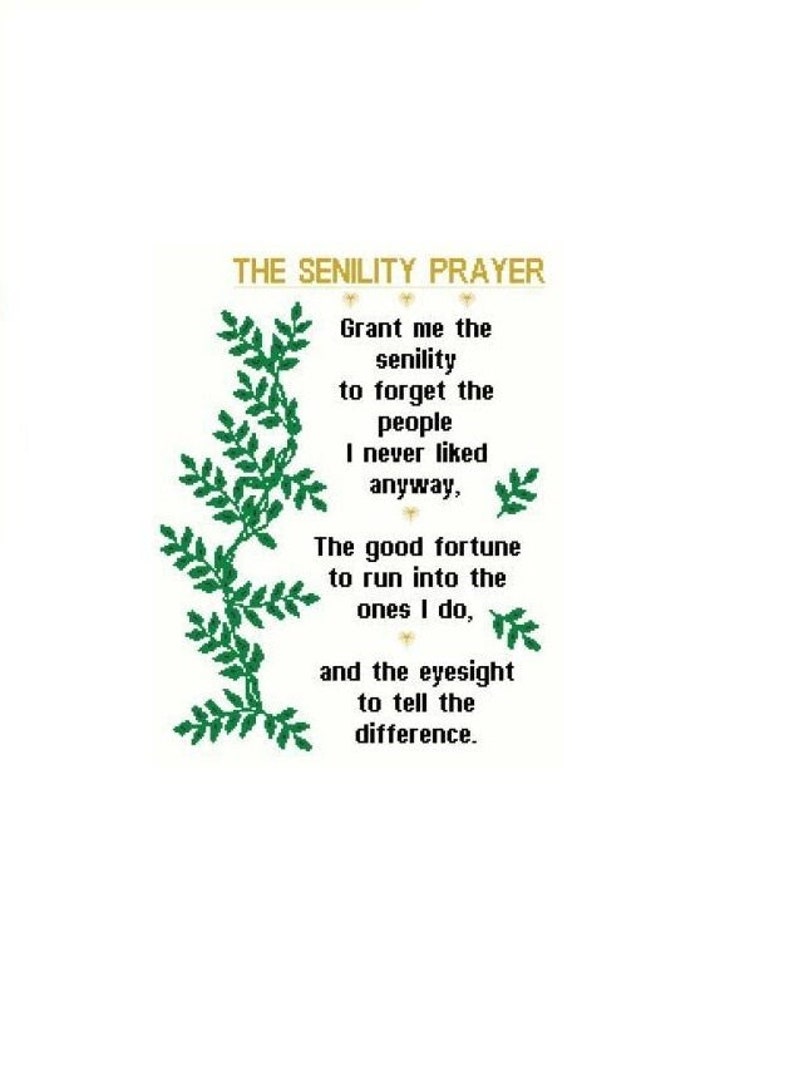 Senility Prayer Cross Stitch Chart - Etsy