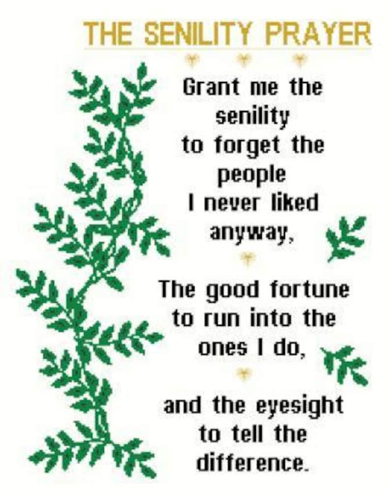 Senility Prayer Cross Stitch Chart - Etsy
