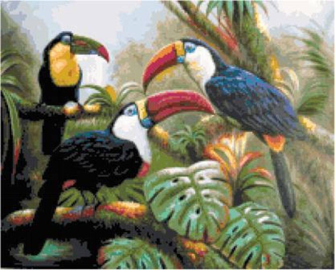 Toucans Cross Stitch Chart - Etsy