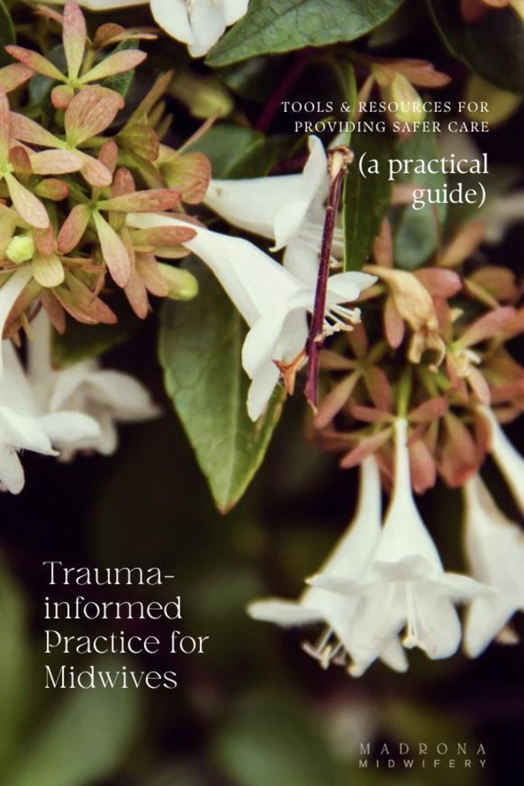 Trauma-informed Practice for Midwives Guide (digital) - Etsy