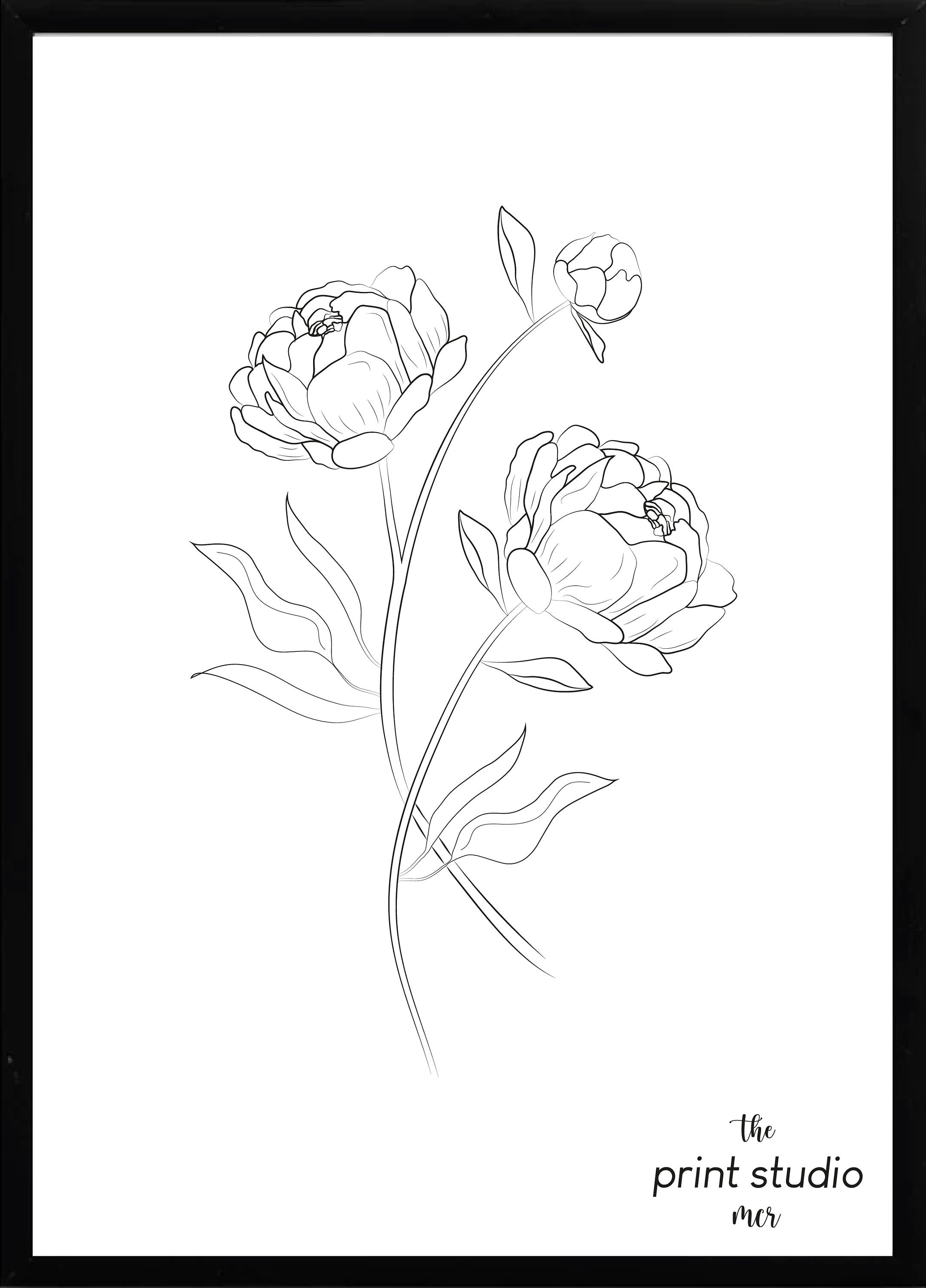 Peony Line Zeichnung Druck| Pfingstrose Wandkunst| Florale ...