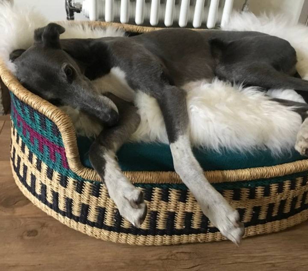 Comfortable Dog Basket Bed | Beautiful Dog Bed | Luxury Pet Bed | Best ...