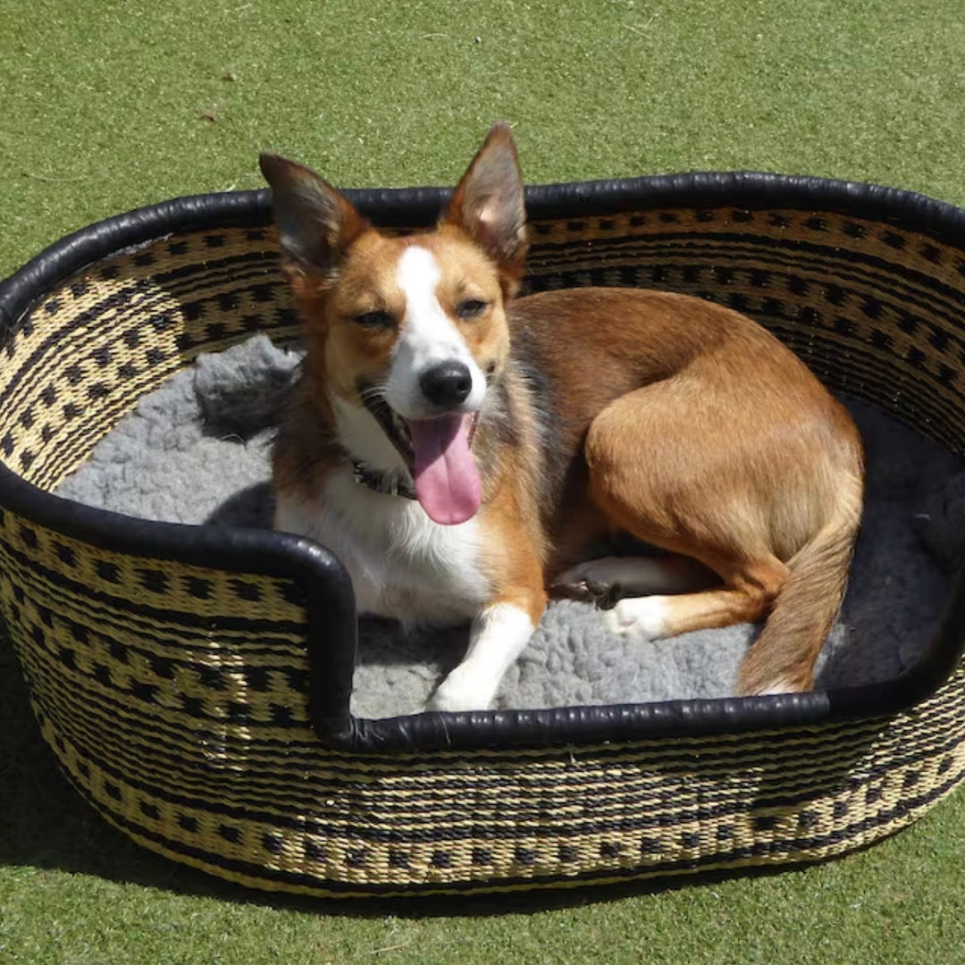 Comfortable Dog Basket Bed | Black and White Dog Bed | Best Dog Bed ...