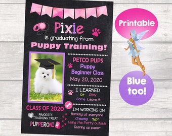 Dog Training Graduation - Etsy