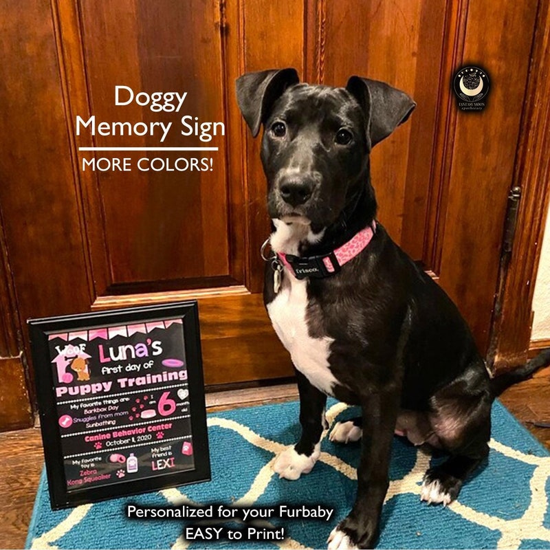 In Training Sign - Etsy