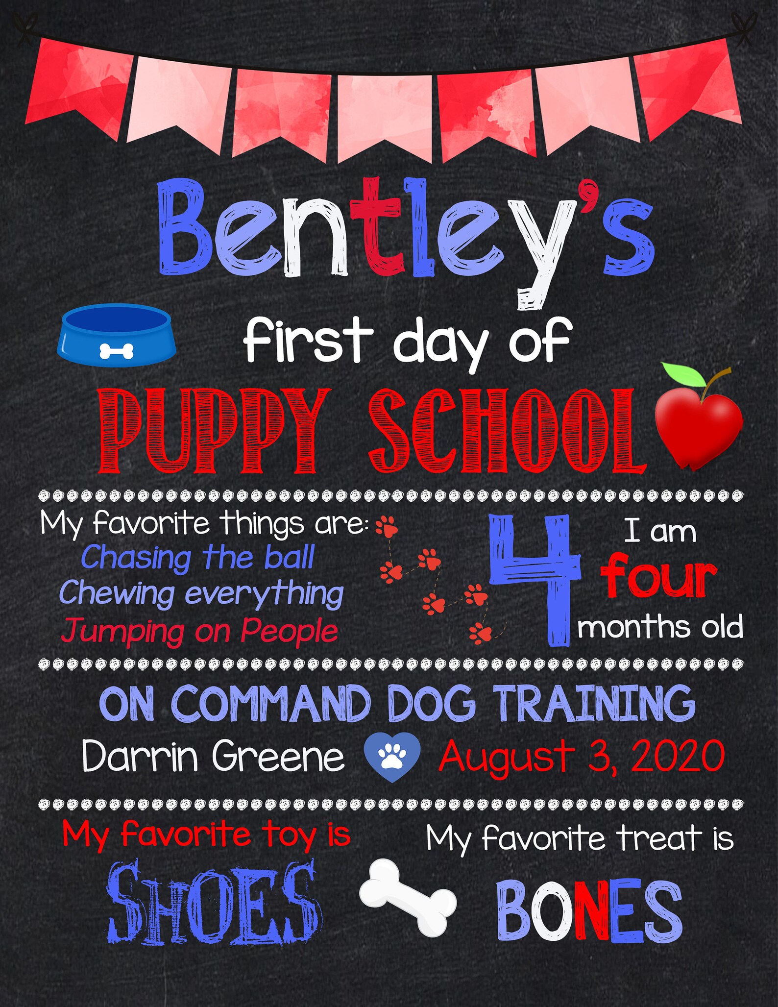 Puppy Dog Training Sign, First Day of Doggy Kindergarten Personalized ...