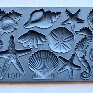 IOD Sea Shells Mould - Etsy