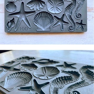 IOD Sea Shells Mould - Etsy