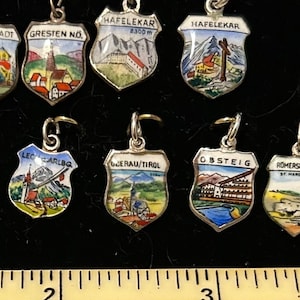 Vintage Austria Travel Shields and Hand Painted Charms in 800 835 ...