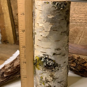 Birch, Pillar, Medium, Stand, Wood, Sealed, #1 - Etsy