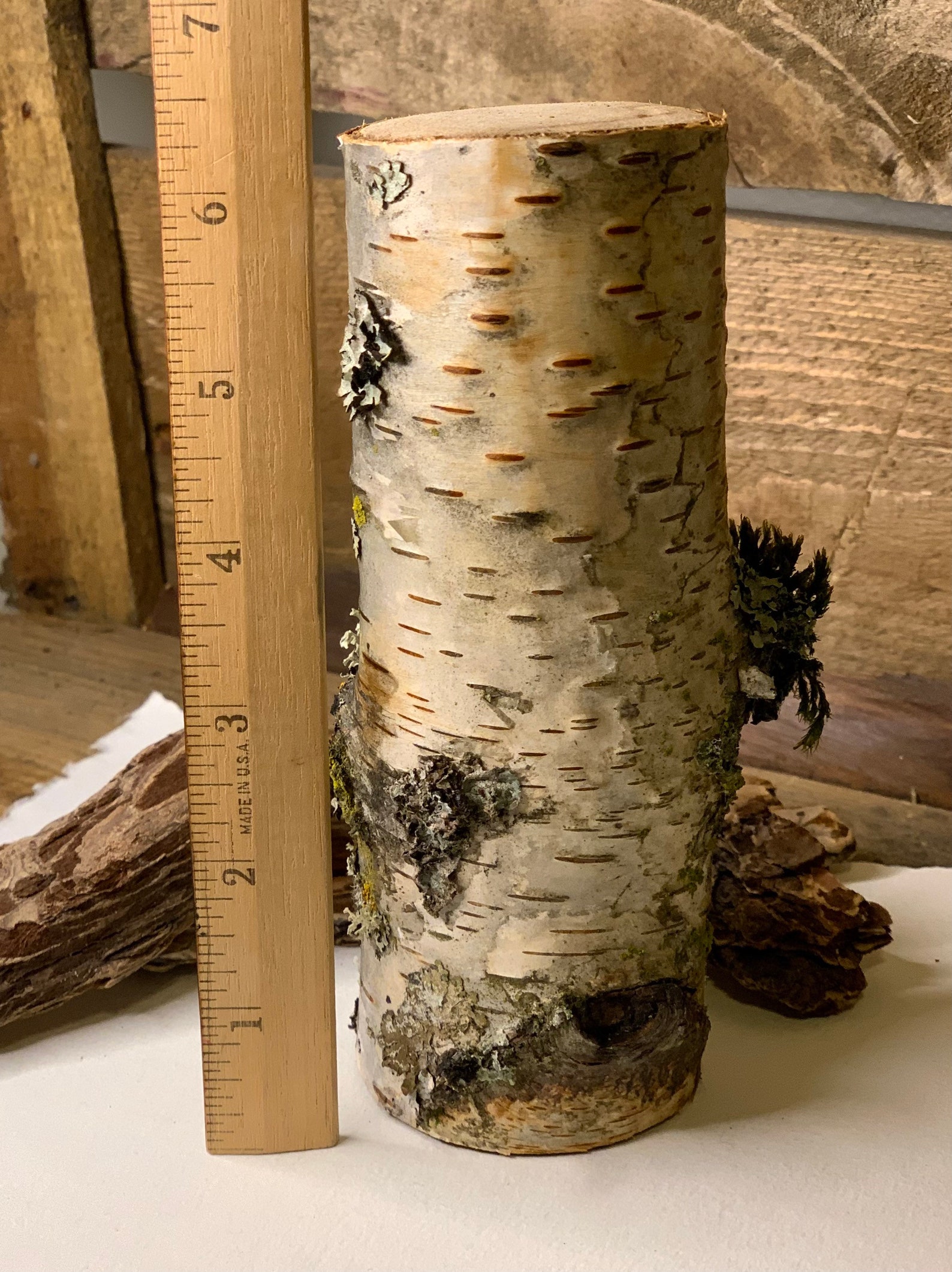 Birch, Pillar, Medium, Stand, Wood, Sealed, #2 - Etsy