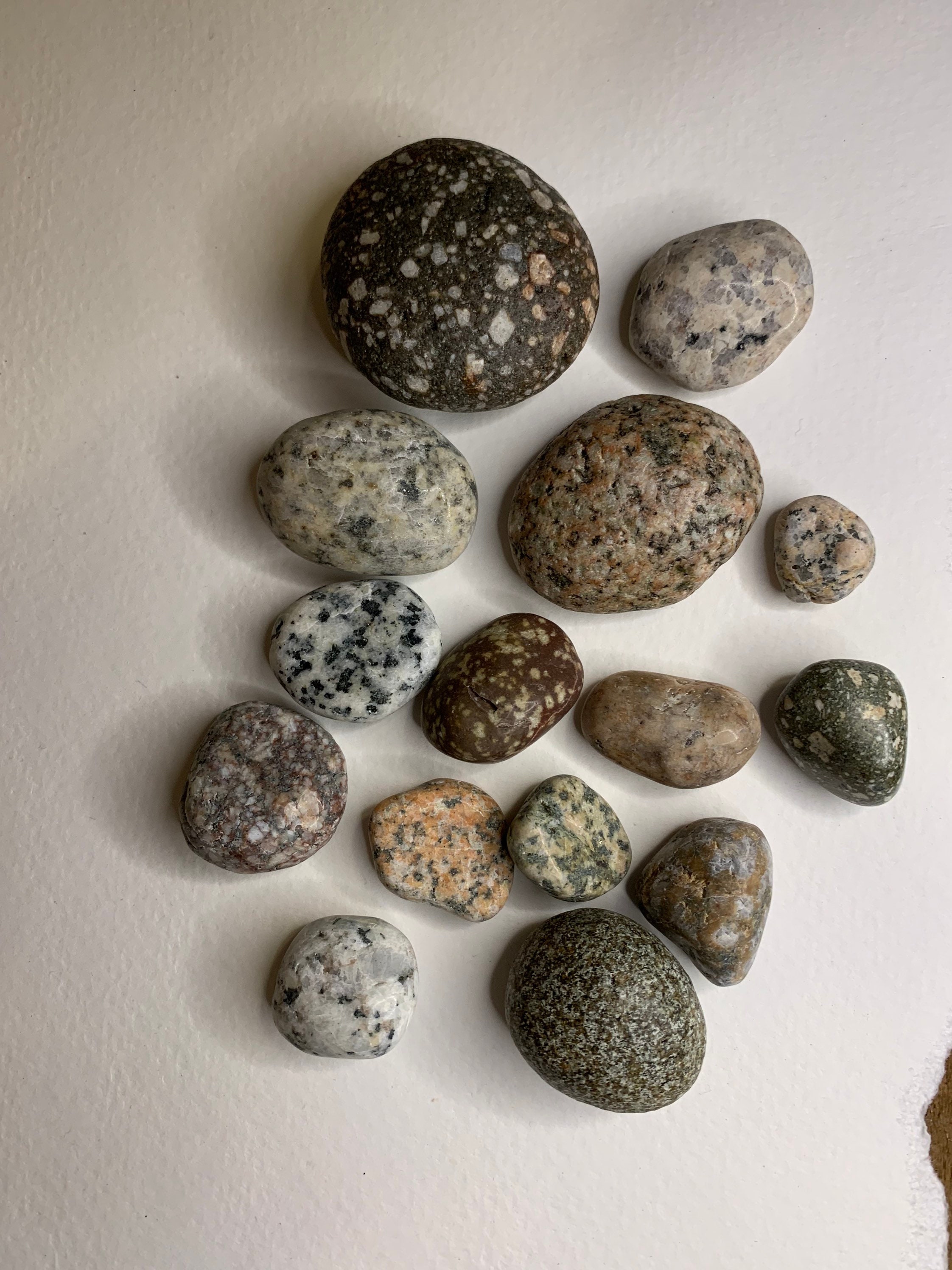 River Rock, Spotted, Hand Polished - Etsy