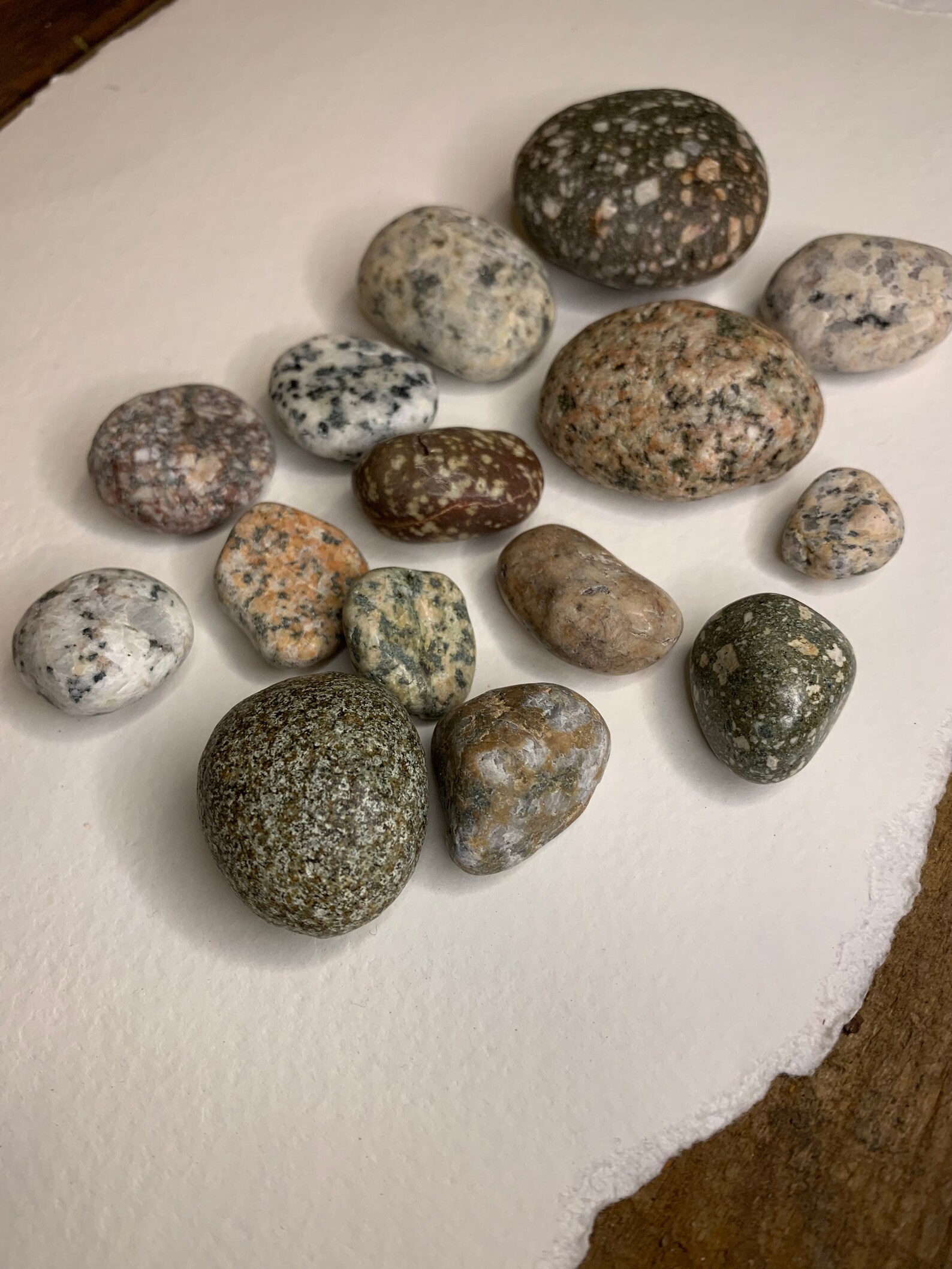 River Rock, Spotted, Hand Polished - Etsy