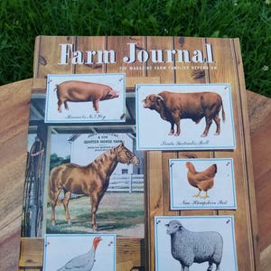 1952, September. Farm Journal Magazine. 'farm Animals Are Changing ...