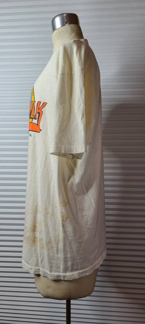 Powdermilk Biscuits 1980's Vintage Stained Hippity La… - Gem