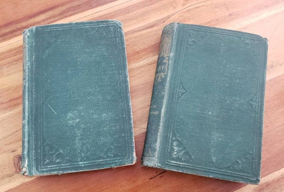 Set of TWO 1875 Dotty Dimple Books. Insane Pieces of History. | Etsy