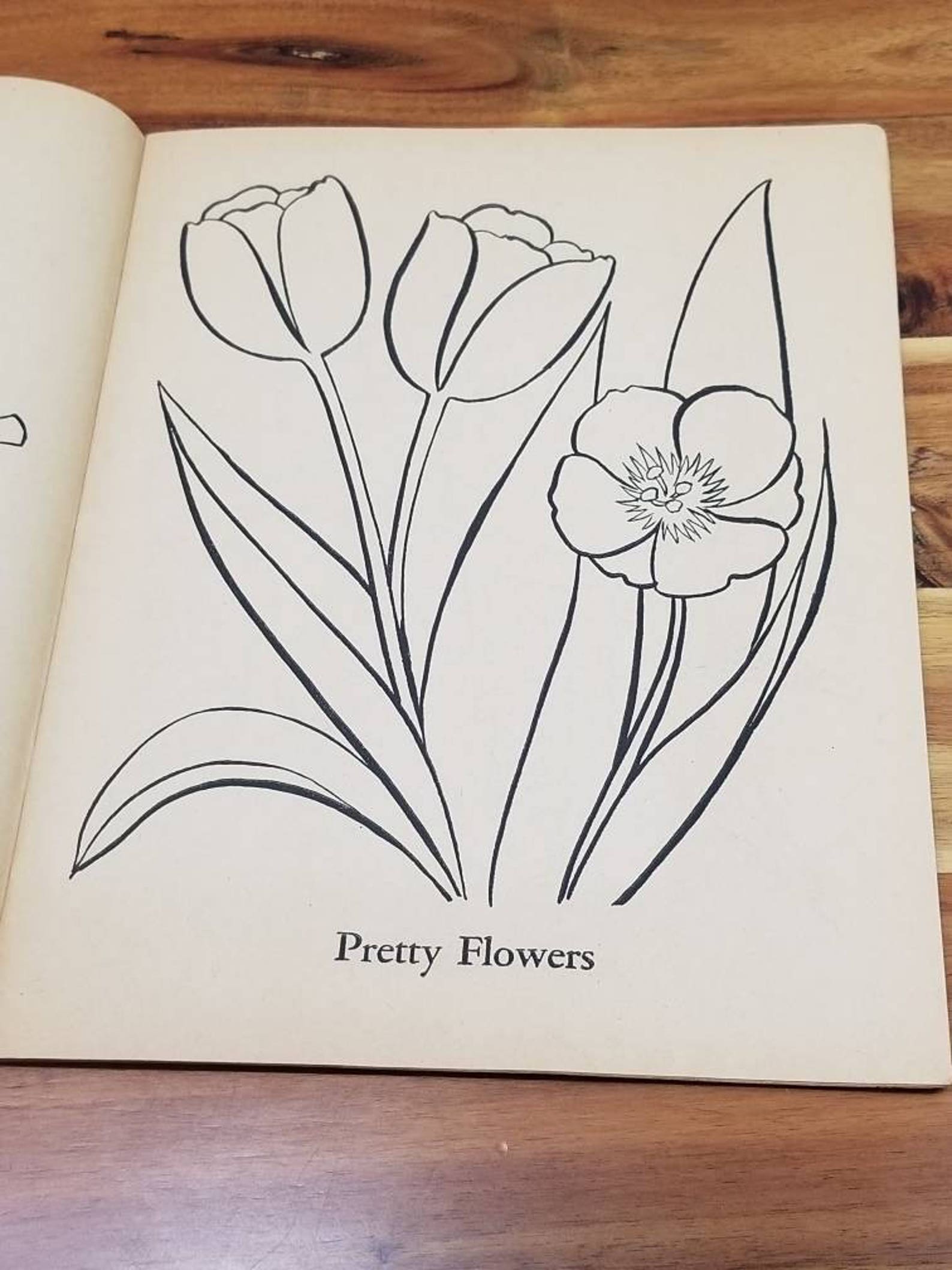 UNCOLORED Vintage 1956 'easy to Color' Beautiful Vibrant Coloring Book ...