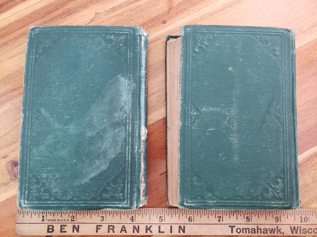 Set of TWO 1875 Dotty Dimple Books. Insane Pieces of History. 144 Years ...