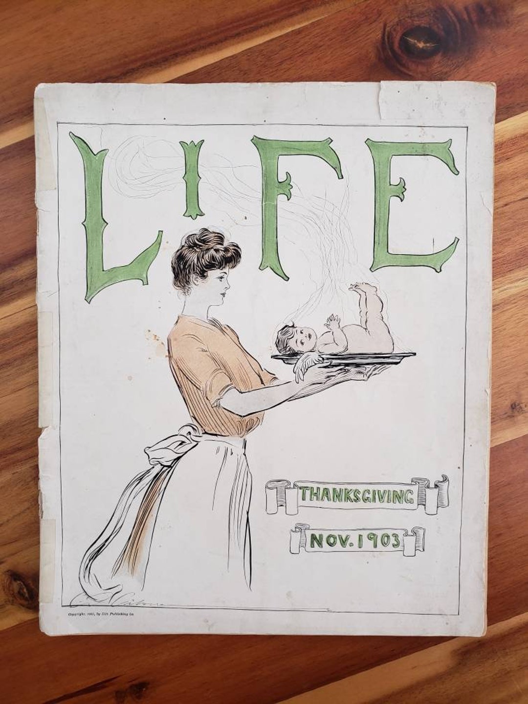 RARE Once in A Lifetime November 1903 LIFE Magazine, Thanksgiving ...