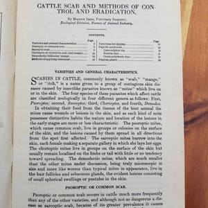 1935 Cattle Scab and Method of Control and Eradication Booklet. Farmer ...